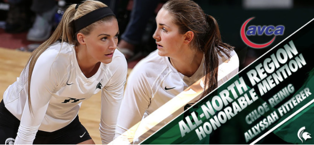 Allyssah Fitterer Earns All-North Region AVCA Honors | 2015